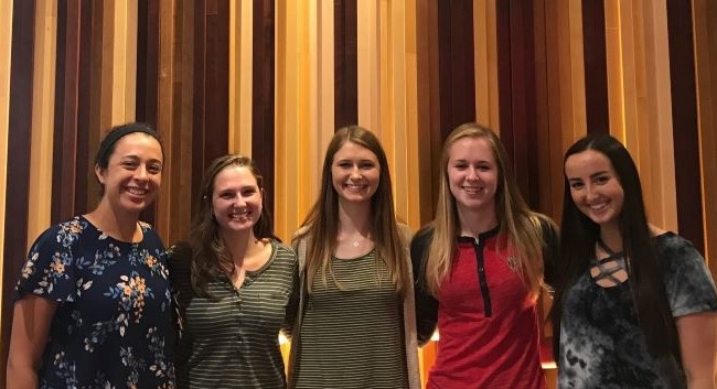 Wheelchair Attachment for Leg-Strengthening Therapy